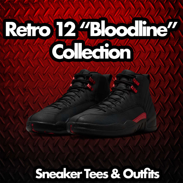 Sneaker Tees To Match Air Jordan 12 Bloodline | Father like Son Shirt
